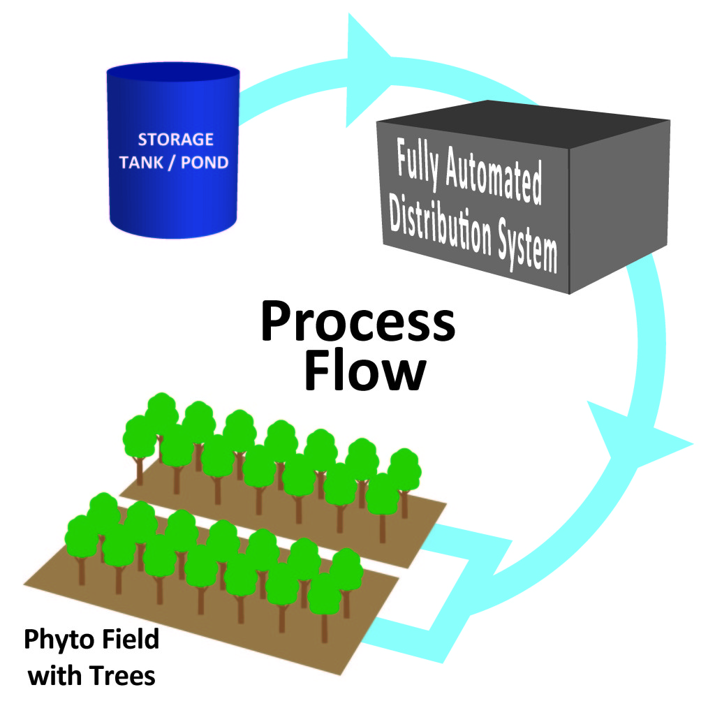 Hybrid Poplars – Leachate Management Specialists