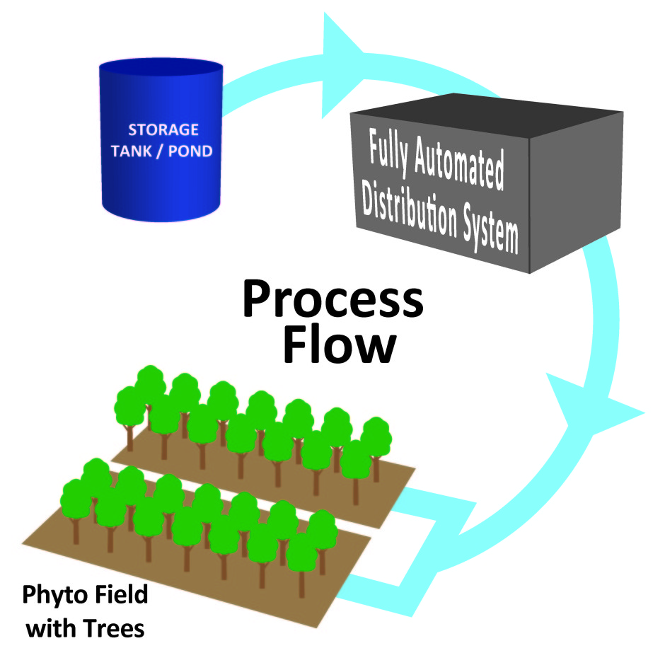 Hybrid Poplars – Leachate Management Specialists